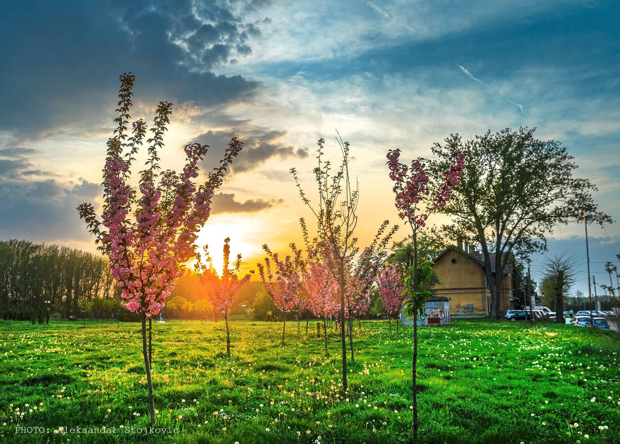 ALARMANTNO? Proleće 2018. godine najtoplije u ISTORIJI merenja u Srbiji ...